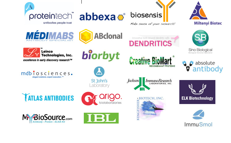 Antibodies
